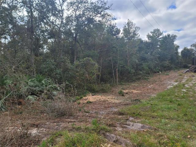 Cooter Pond Rd, DeLand, FL 32720 | MLS #O6155 | Compass
