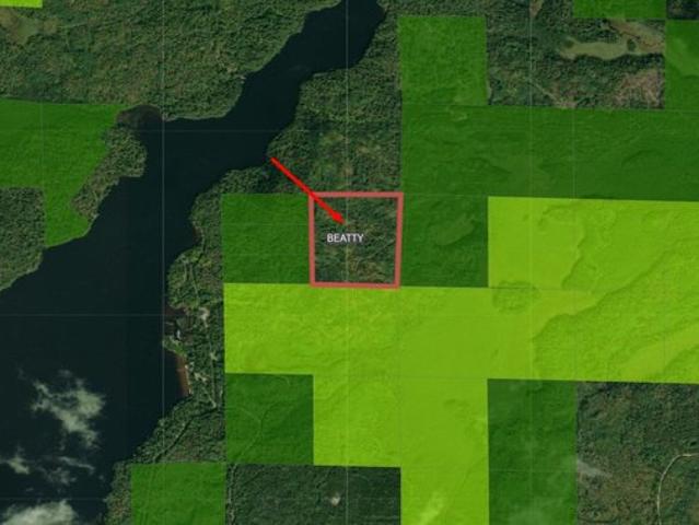Cook, MN 55723