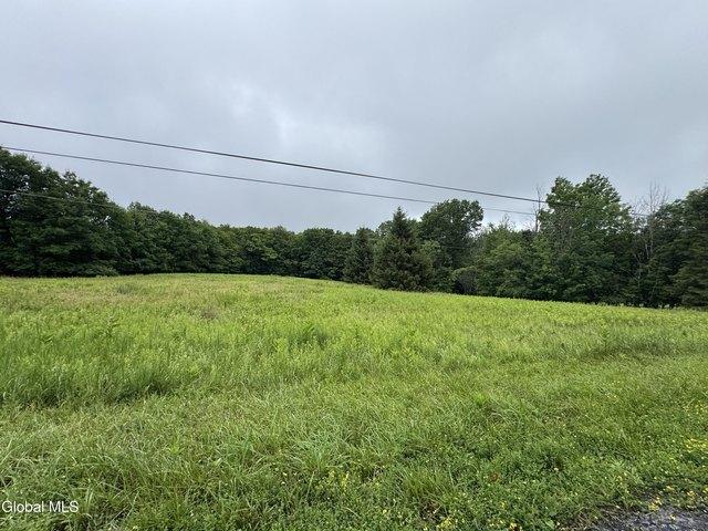 Cook Rd, Conesville, NY 12076