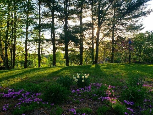 Cook Rd, Windham, Plot For Sale