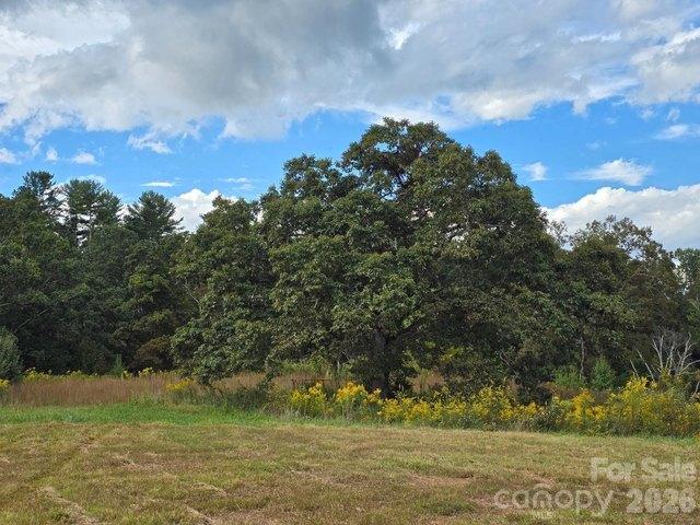 Cook 87 Acres Ln Unit 24, Mills River, NC 28759