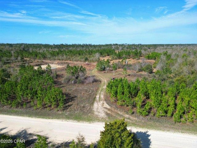 Cook/Cain Rd, Clarksville, FL 32430