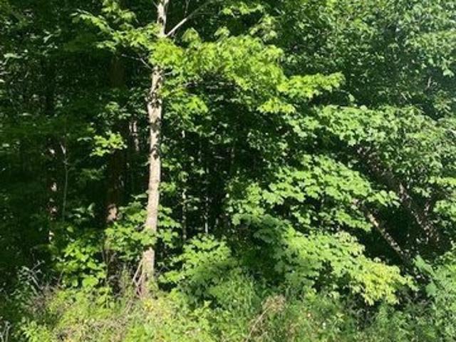 Cooktown Rd Lot 5, Wilder, TN 38589