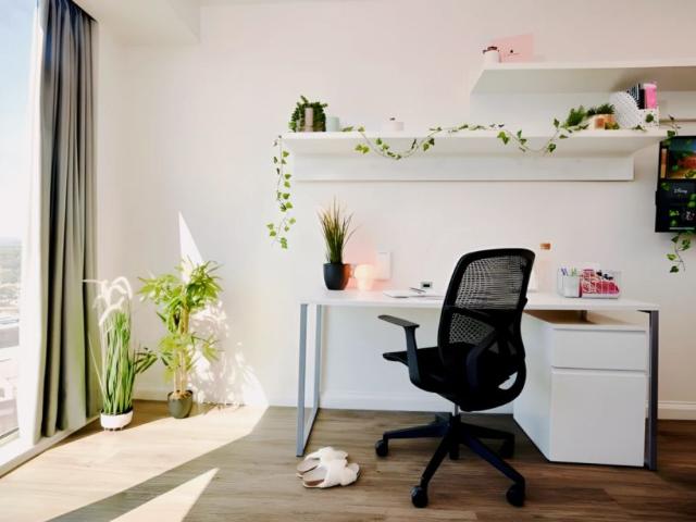Cool studio not far from The University of Sheffield