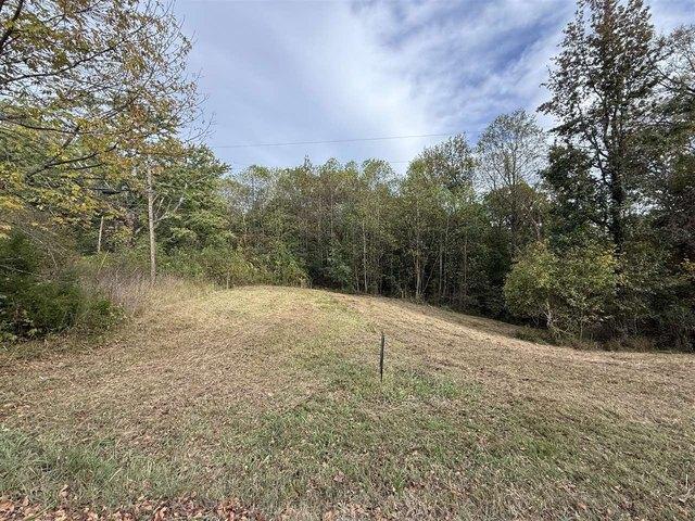Cool Springs Rd, Morgantown, KY 42261
