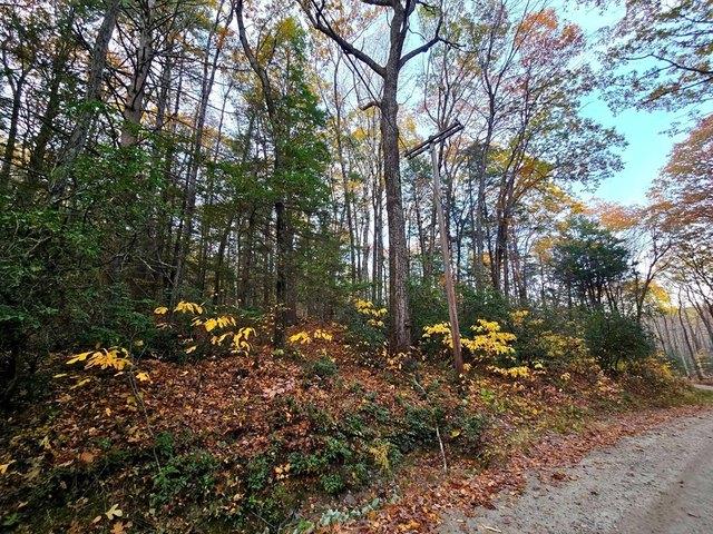Cooleyville Rd, Shutesbury, MA 01072