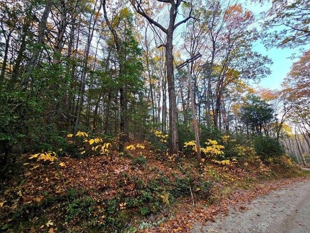 Cooleyville Rd, Shutesbury, Plot For Sale