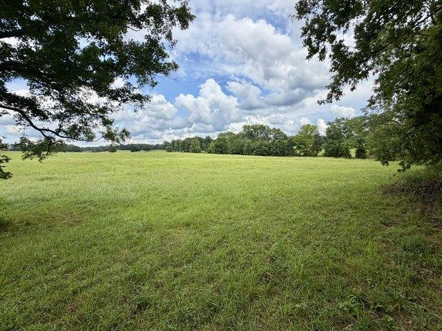 Cooley Ford Rd, Tennessee Ridge, TN 37178