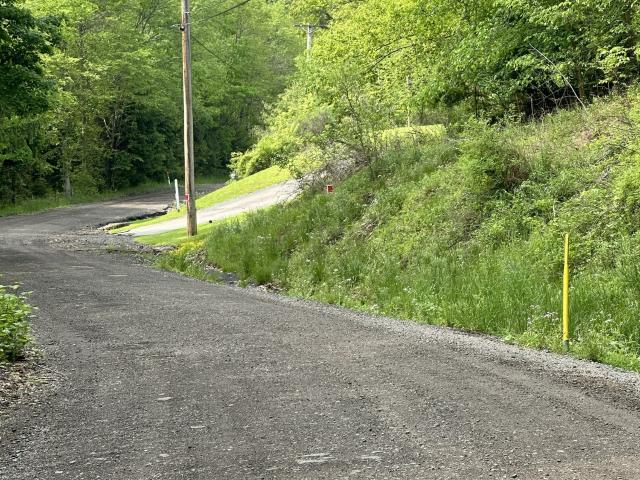 Cooney Hollow Road, Sewickley, US, PA