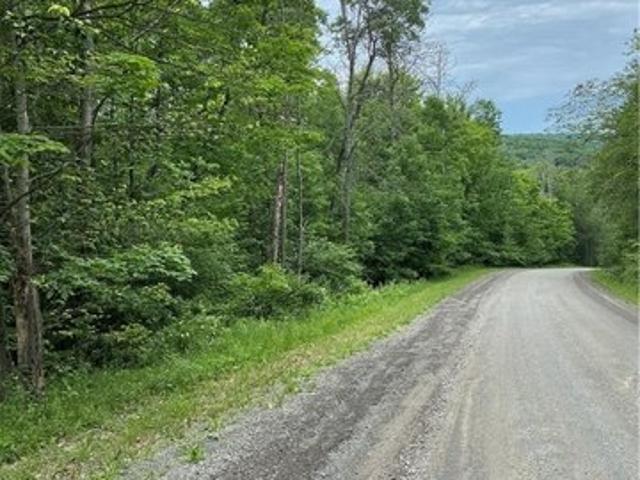 Cooper Hill Rd, Van Etten, NY 14889