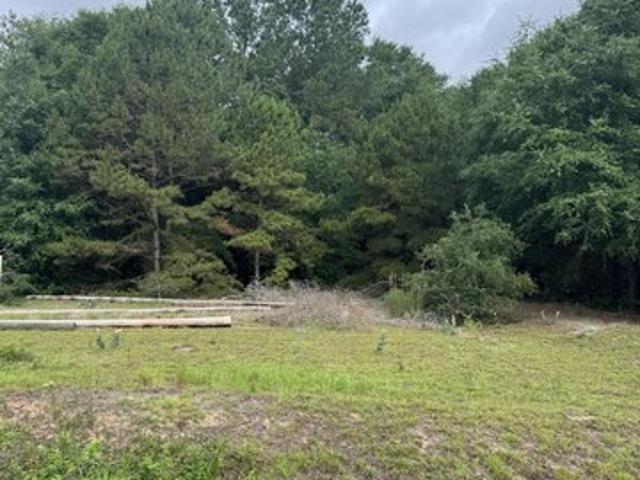 Cooper Ln Lot 13, Summerton, SC 29148