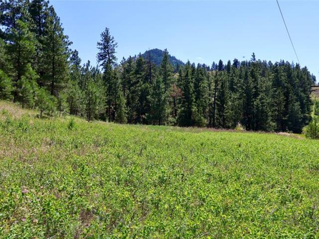 Cooper Valley Ests Lot 49, Cascade, MT 59421