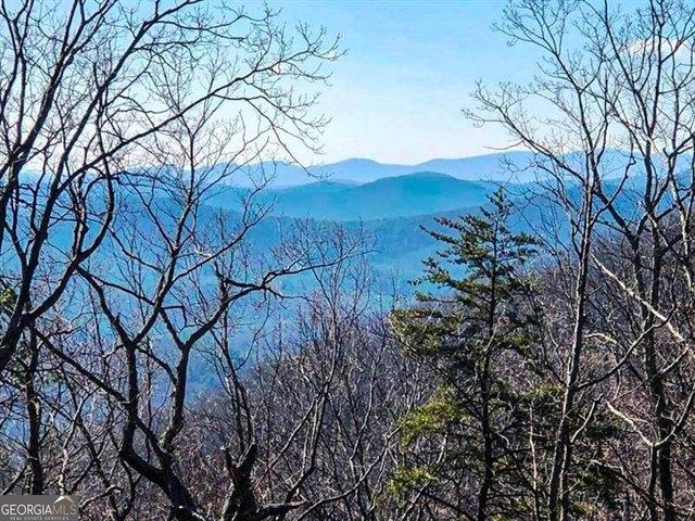 Coopers Gap Rd, Dahlonega, GA 30533