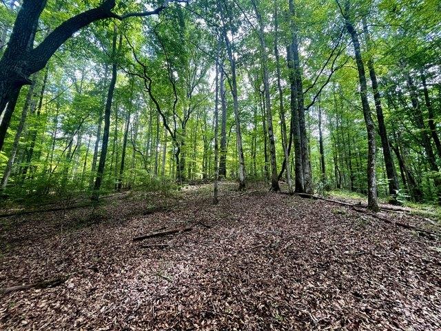 Coosa County Road 93, Rockford, AL 35089