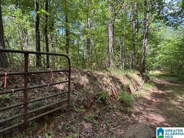 Coosa County Road 29 Lot 1, Rockford, AL 35136