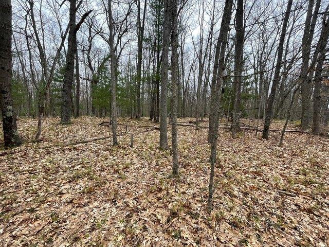 Coates Hwy Parcel D, Brethren, MI 49619