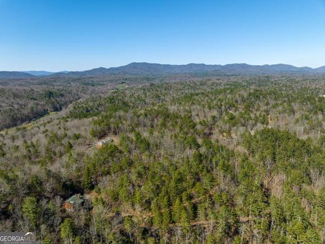 Coatopa Ct, Ellijay, GA 30540