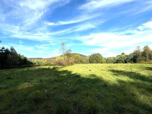 Coach Rd Lot,chester, Plot For Sale