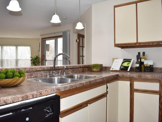 Coachman Trails 1 Bedroom Apartment for Rent at 1405 Olive Ln N, Plymouth, MN 55447 Plymouth Wayzata