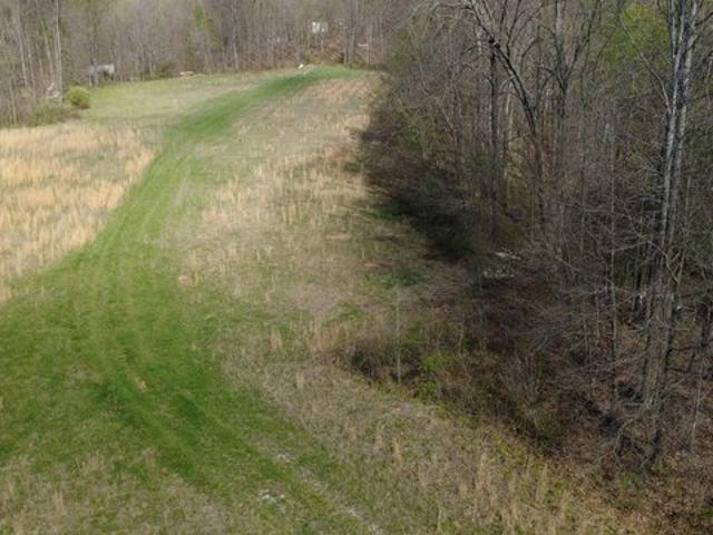 Coal Mine Rd, Bloomfield, IN 47424