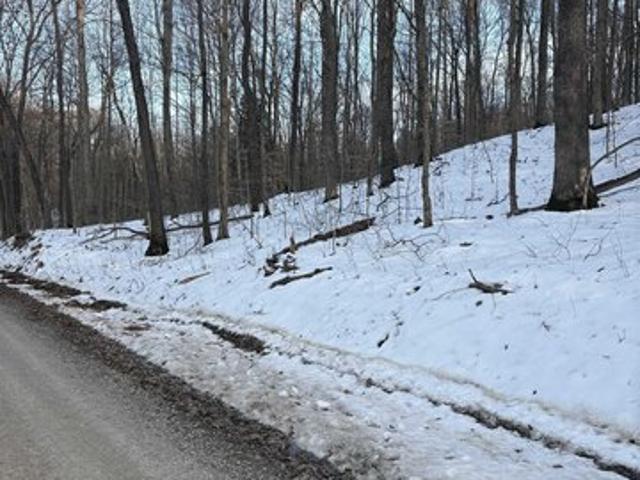 Coal Bank Rd, Saint Meinrad, IN 47577