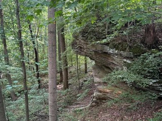 Coal Bank Rd, Sharon Grove, KY 42280