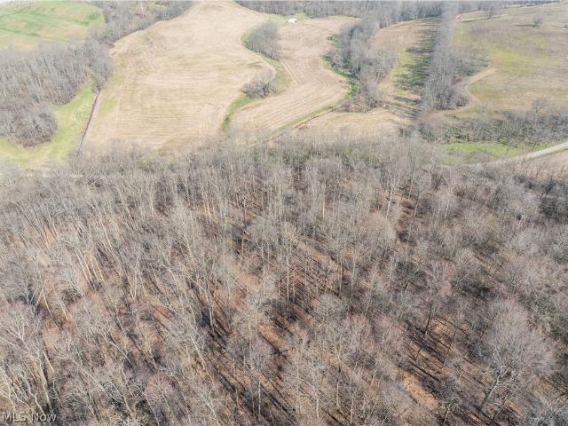 Coal Road