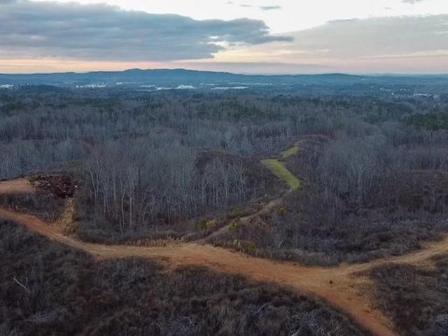 Coaling Rd Lot 1, Sylacauga, AL 35151