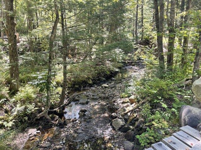 Coburn Brook Rd Lot, Rumford, Plot For Sale