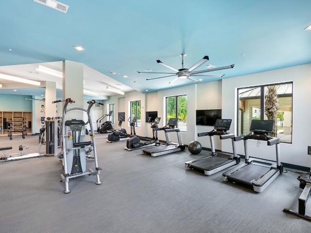 Cobalt 1 Bedroom Apartment for Rent at 4434 Cobalt Brook Blvd, Lutz, FL 33559