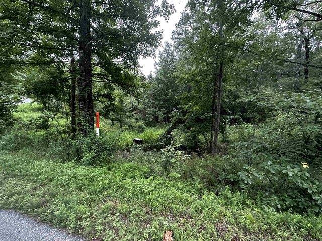 Cobalt Bay Dr Lot 48, Shirley, AR 72153