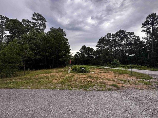 Cobalt Bay Dr Lot 57, Shirley, AR 72153