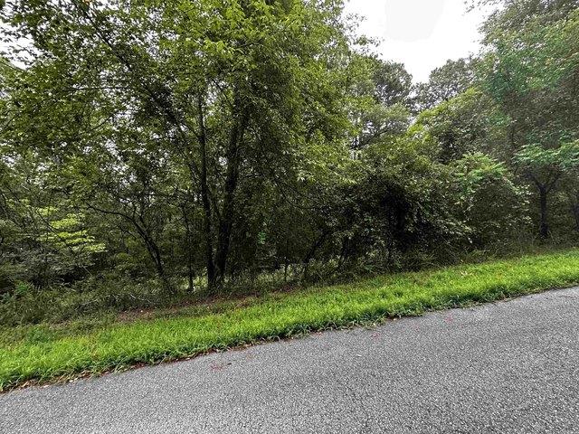 Cobalt Bay Dr Lot 67, Shirley, AR 72153