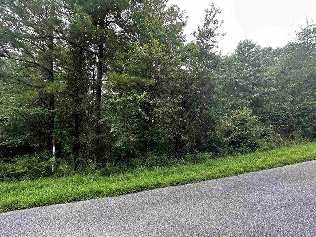 Cobalt Bay Dr Lot 66, Shirley, AR 72153