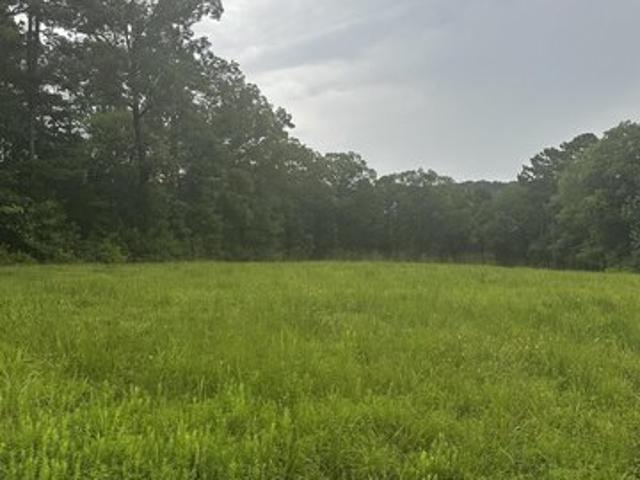 Cobalt Bay Dr Lot 70, Shirley, AR 72153