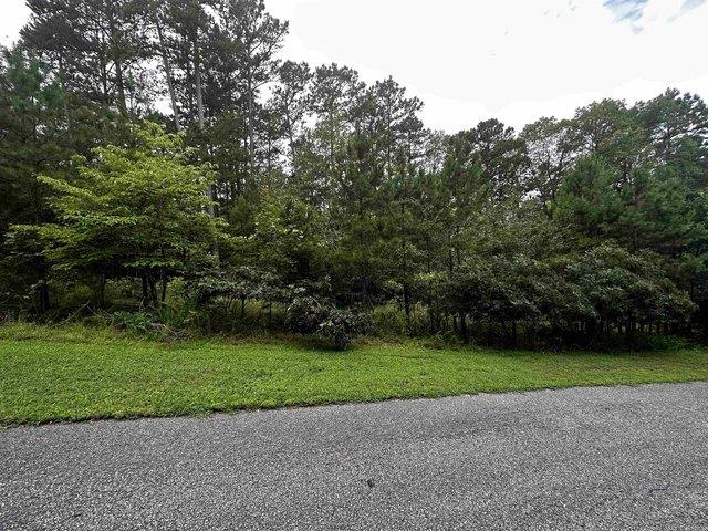 Cobalt Bay Dr Lot 90, Shirley, AR 72153