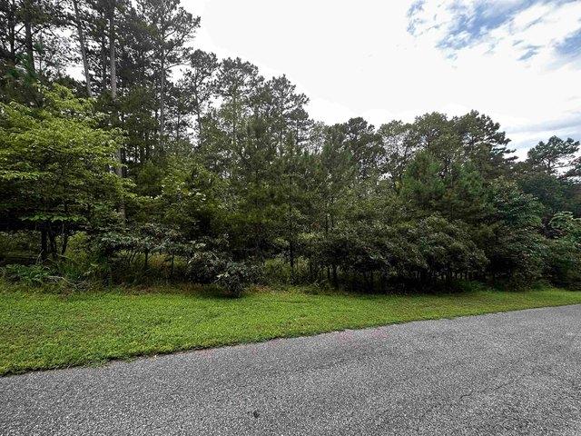 Cobalt Bay Dr Lot 94, Shirley, AR 72153