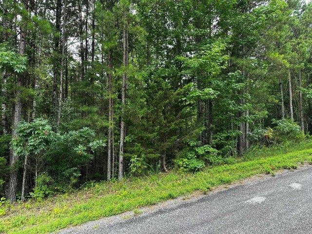 Cobalt Bay Dr Lot 107, Shirley, AR 72153