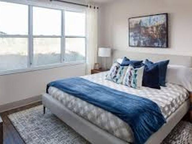 Cobalt Lofts Luxury Rentals