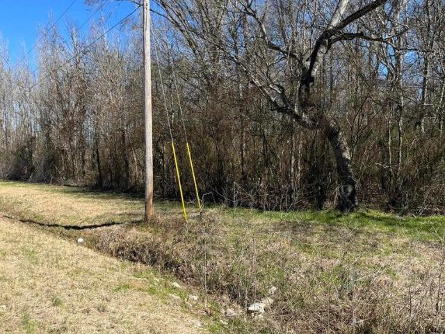 Cobbville Road, Canton, MS 39046