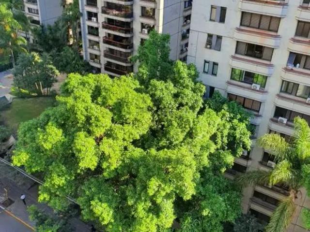 Cobertura com 1 Quarto para alugar, 126m² Jardim Europa