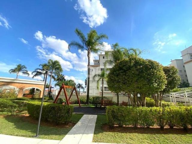 cobertura á venda e para aluguel em Mansões Santo Antônio