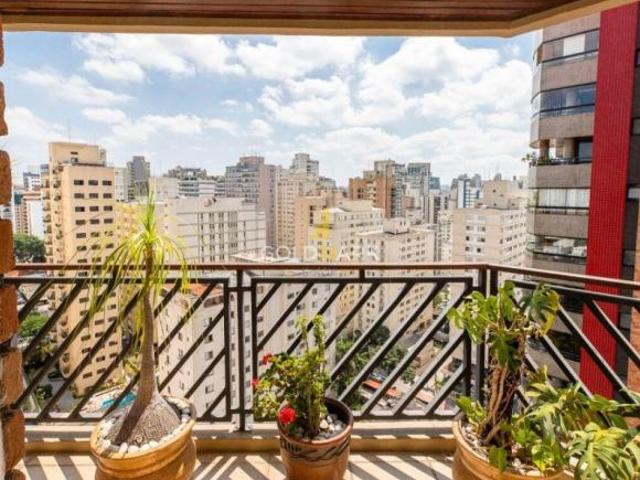 Cobertura Duplex 410m² Moema Passaros