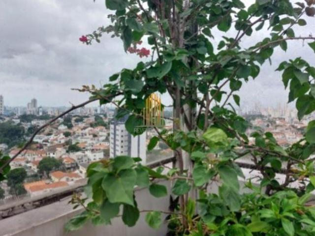 Cobertura em Jardim da Saúde, São Paulo/SP de 200m² 4 quartos à venda por R$ 1.700.000,00