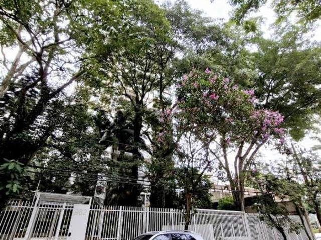 Cobertura para venda com 3 quartos, sendo 3 suítes, 585m²