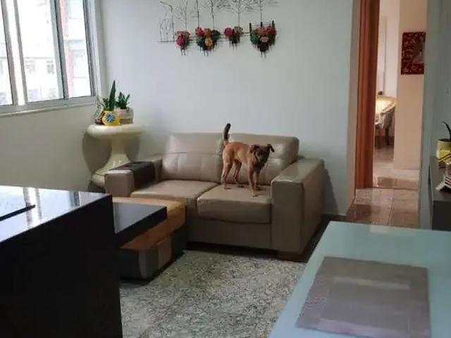 Cobertura para Venda em Belo Horizonte/MG Sagrada Família 1 Quartos