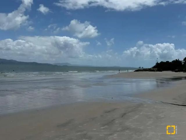 Cobertura para Venda em Florianópolis/SC Jurerê 2 Quartos