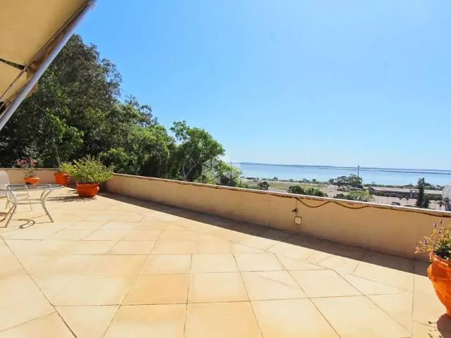 Cobertura para Venda em Porto Alegre/RS Santa Tereza 3 Quartos