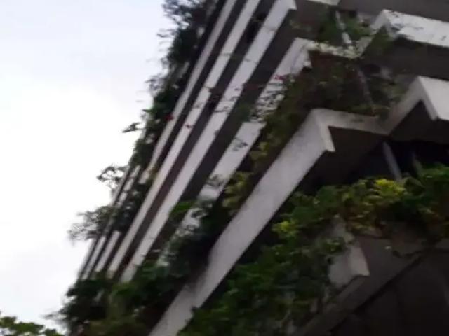 Cobertura para Venda em Recife/PE Tamarineira 4 Quartos