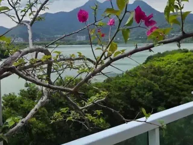Cobertura para Venda em Rio de Janeiro/RJ Barra da Tijuca 3 Quartos